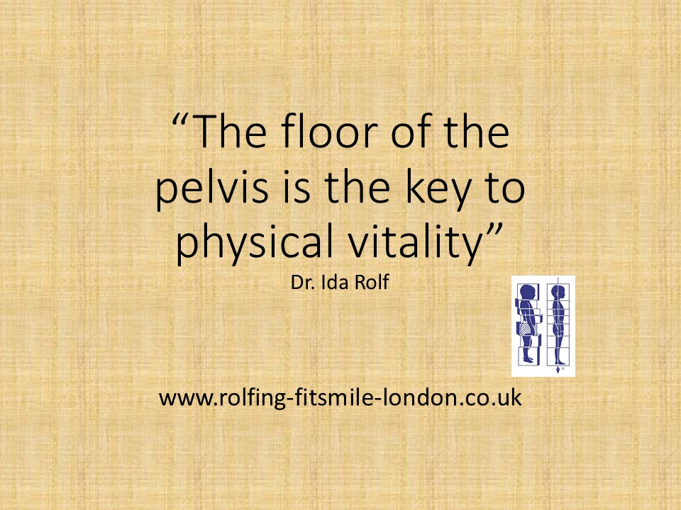 “The floor of the pelvis is the key to physical vitality” Dr. Ida Rolf ...